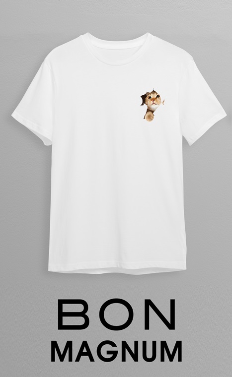 형지I&C(형지아이앤씨) 본 매그넘(BON MAGNUM), 여름 티셔츠 스타일링 제안 - TENANT news